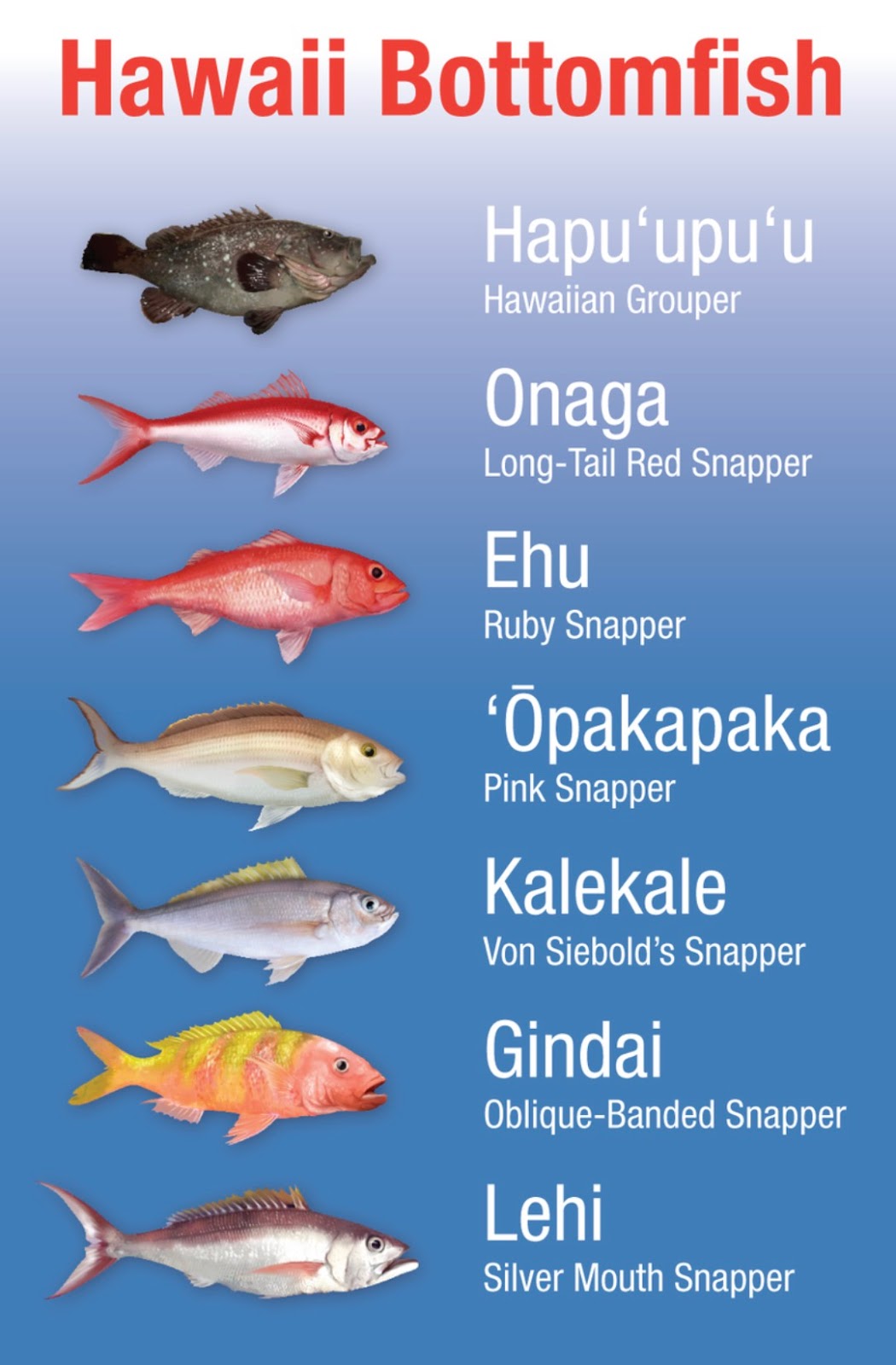 Homesteading in Hawaii: 2020