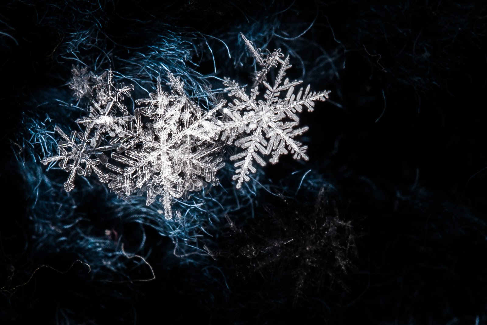 CHIMERAS: More snowflakes!