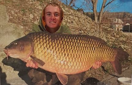 Virginia Tech Ichthyology Class : Fluvial Fishes Lab 2016