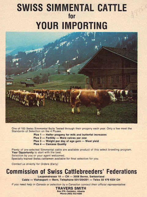 Early Years of Simmental in North America: November 2011