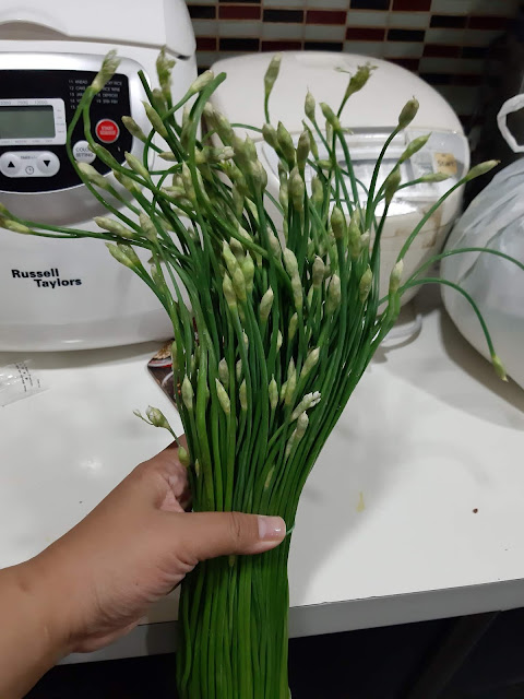 DANA: RESEPI MEMASAK BUNGA KUCAI