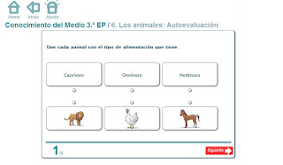 UNIDAD 5 - CONOCIMIENTO DEL MEDIO- 3º EP | TRABAJANDO LAS COMPETENCIAS