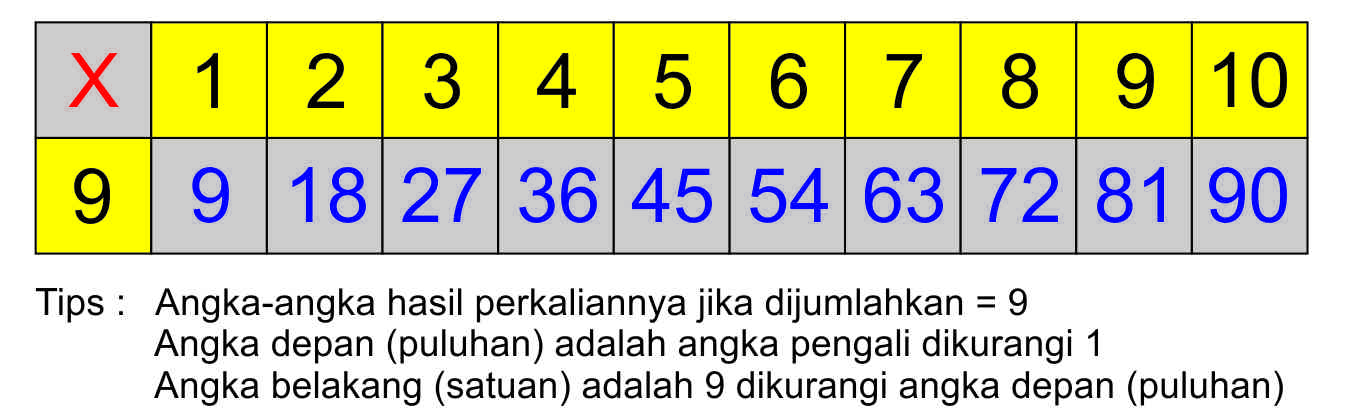 Bimbel IFE (IFE Little Newton): TAHAPAN MENGAJARKAN KONSEP DASAR ...