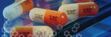 Blackspy fundamental : YSP Southeast Asia Holding