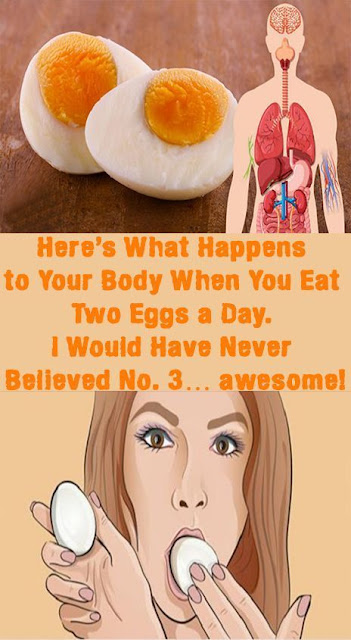 Here’s What Happens to Your Body When You Eat Two Eggs a Day | Wellness ...