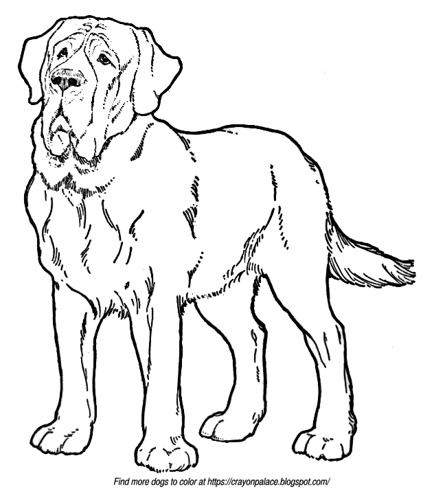 Crayon Palace: A Coloring Page Of A St. Bernard