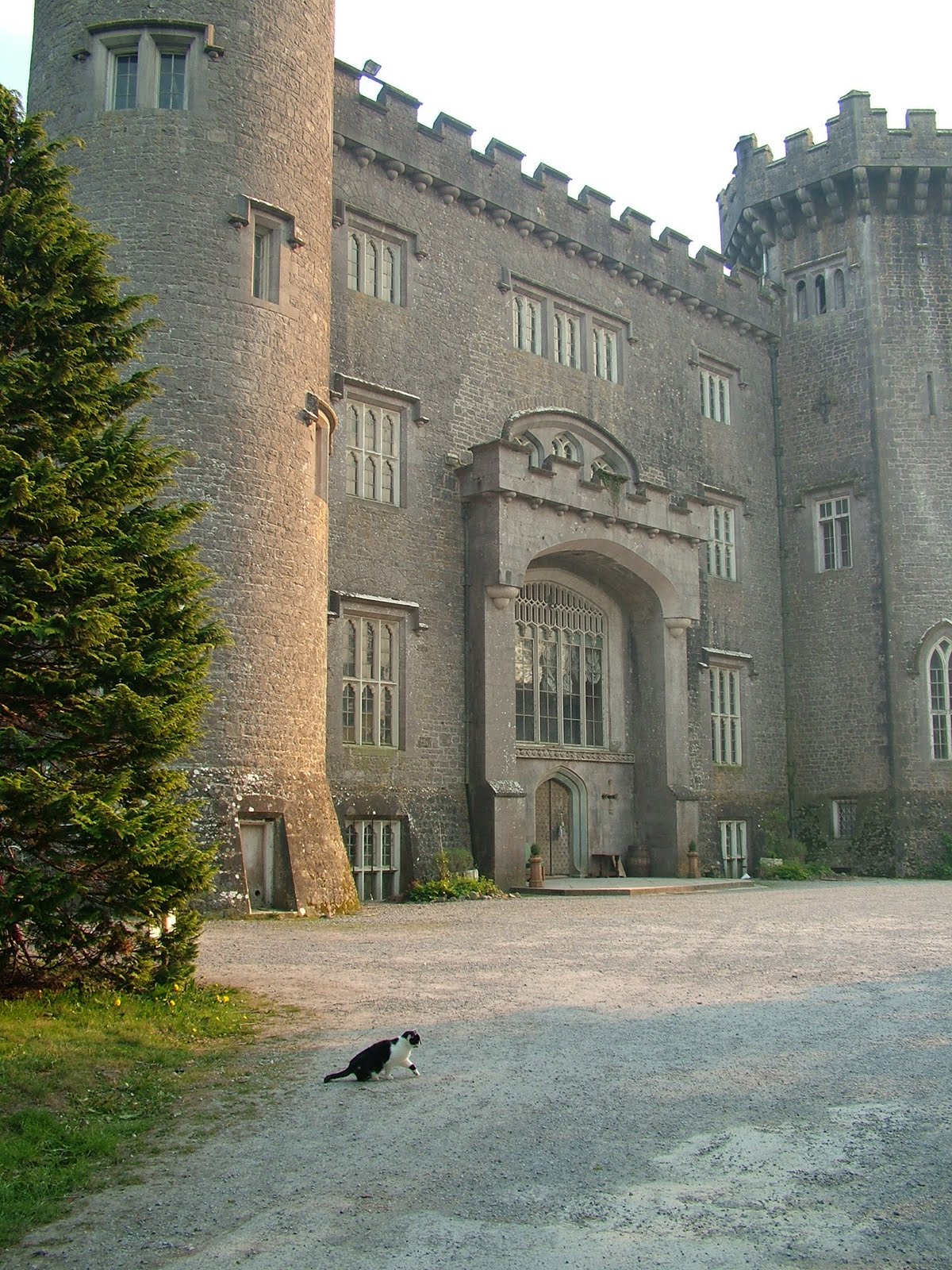 The Grounds of Charleville Castle, Tullamore