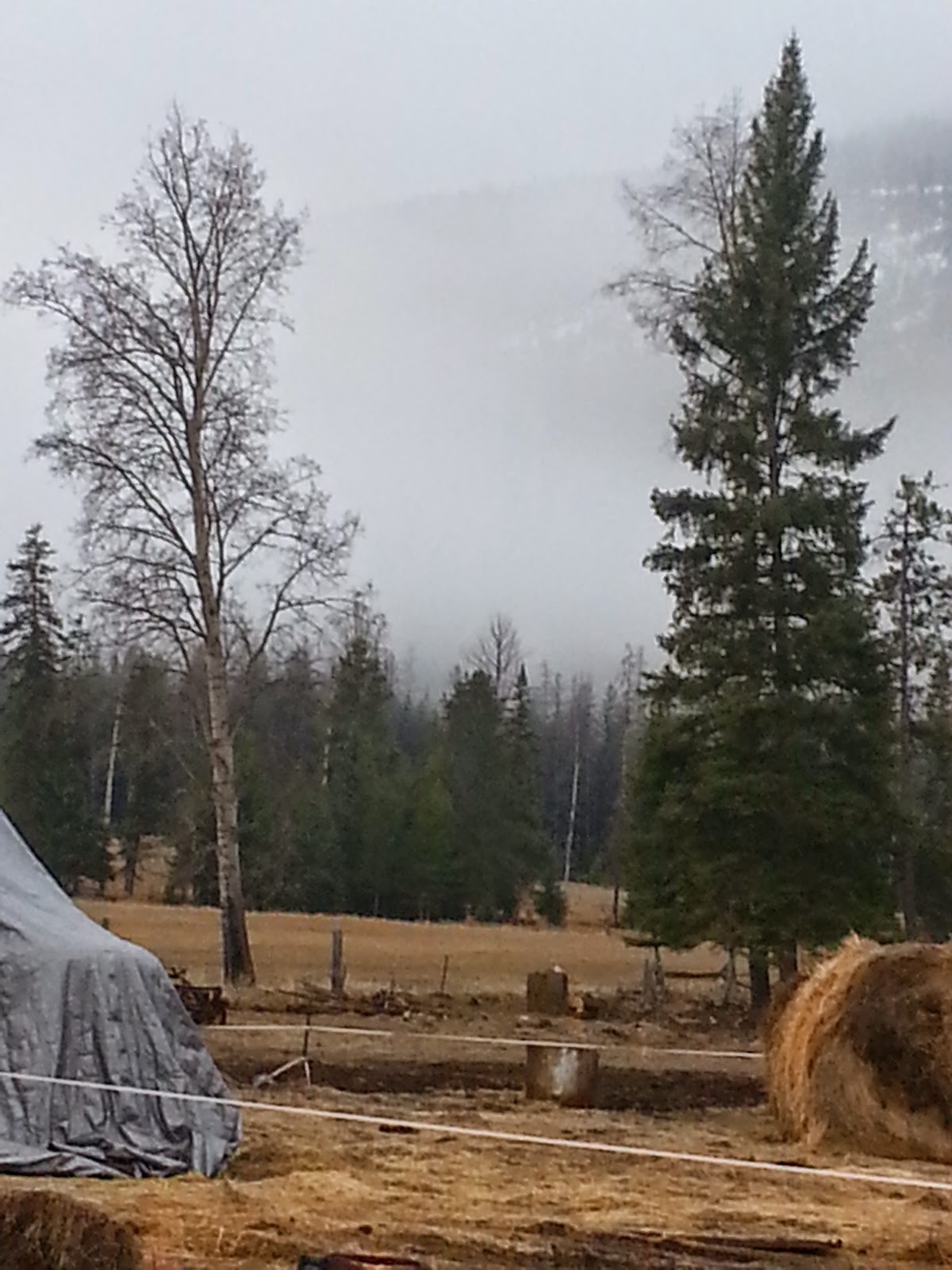 Hidden Meadows Ranch