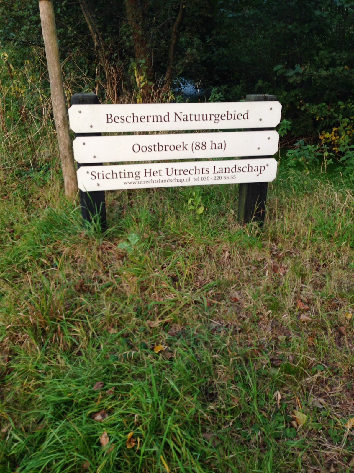 WWAWWW: Rondje Oostbroek