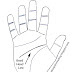 Indications Of Good Head Line On Hand | Palmistry ~ INDIAN PALM READING ...