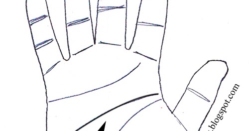 Indications Of Good Head Line On Hand | Palmistry ~ INDIAN PALMISTRY ...