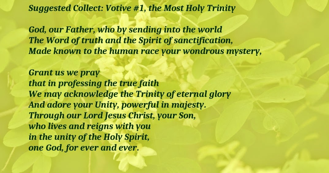 Daily Homilies: Wednesday of the Fifteenth Week in Ordinary Time ...