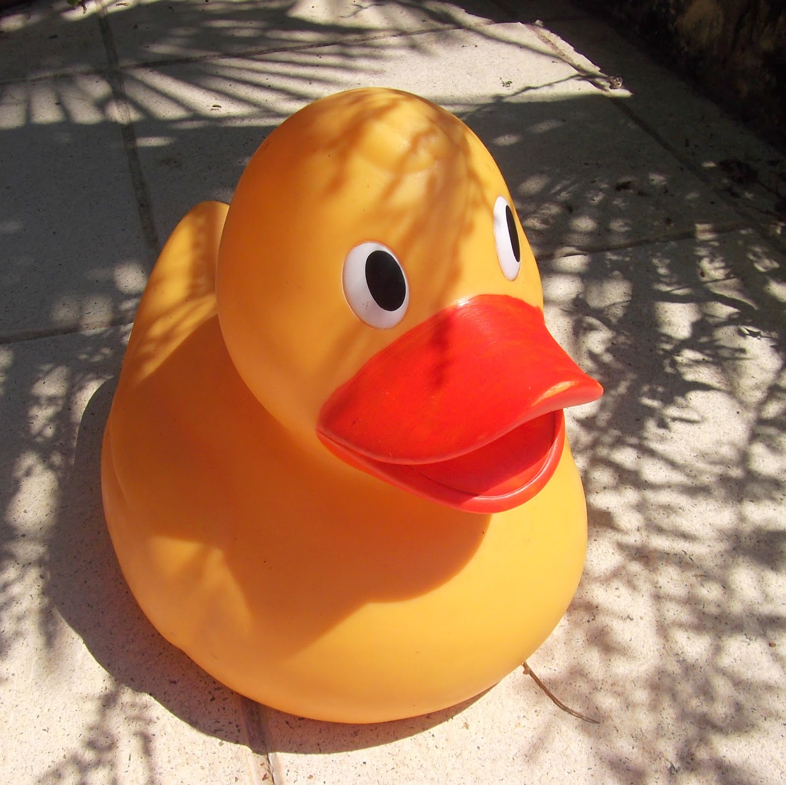 Magnon's Meanderings: Hello Duckie!