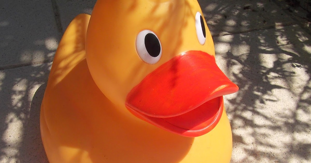 Magnon's Meanderings: Hello Duckie!