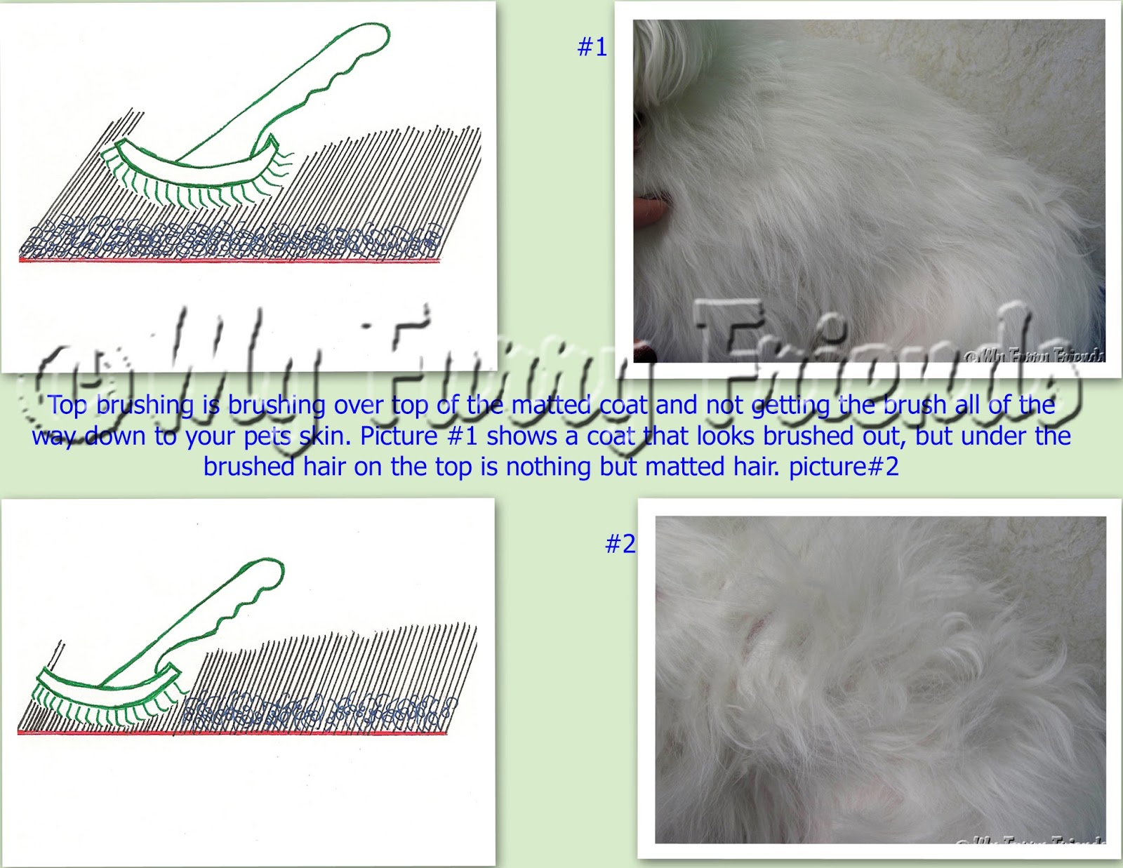 Pet Grooming: The Good, The Bad, & The Furry: Mat Chart