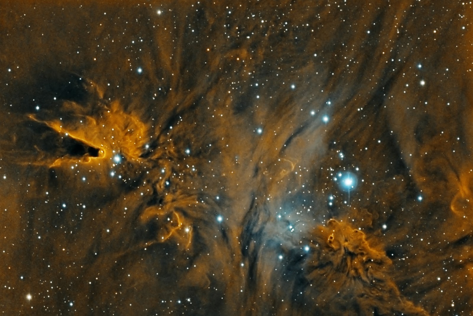 interstellar medium: NGC2264 – Cone and Fox Fur Nebula
