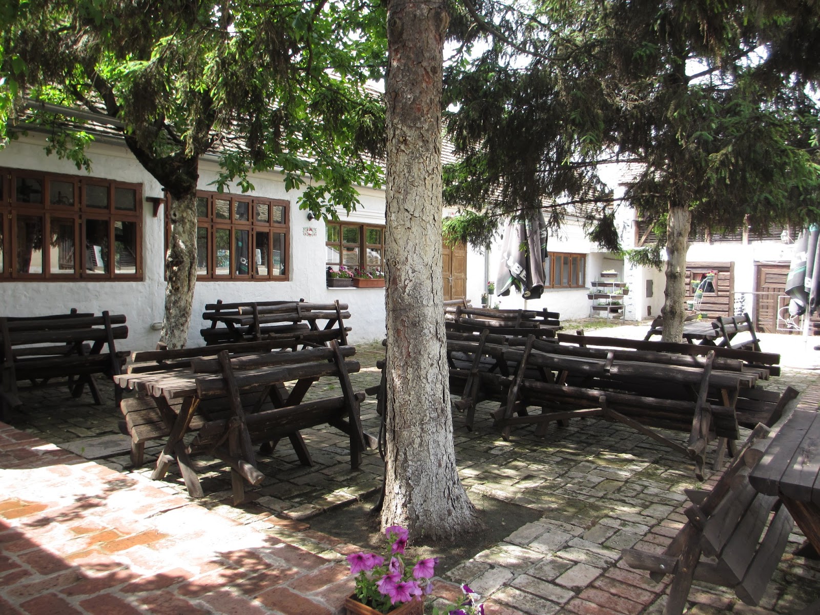 Cannundrums: Zekin Salas - Krcedin, Serbia