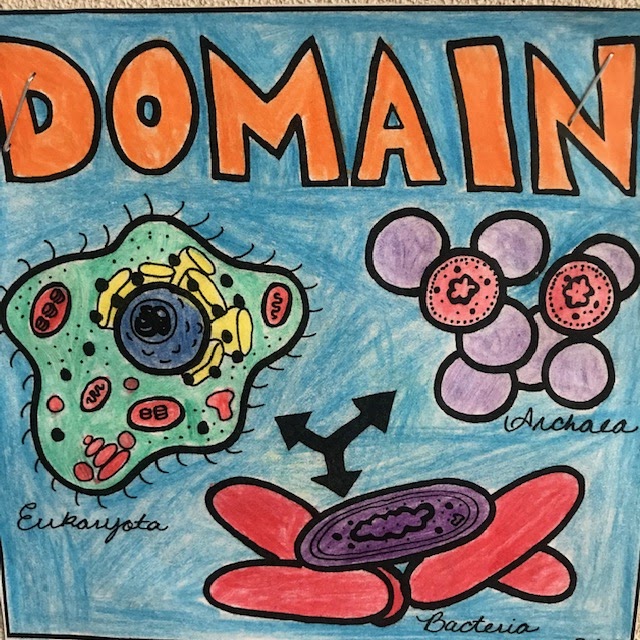 Mizzz Foster's Class: Science Tools for ESOL / ESL