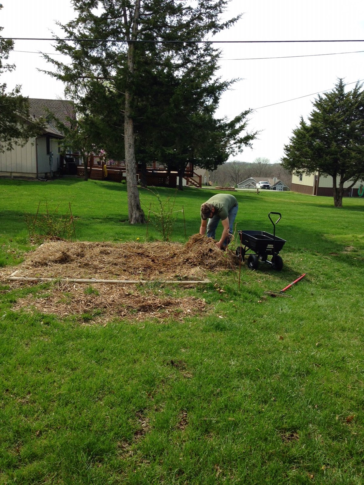 The Half Acre Farm: Gardening!