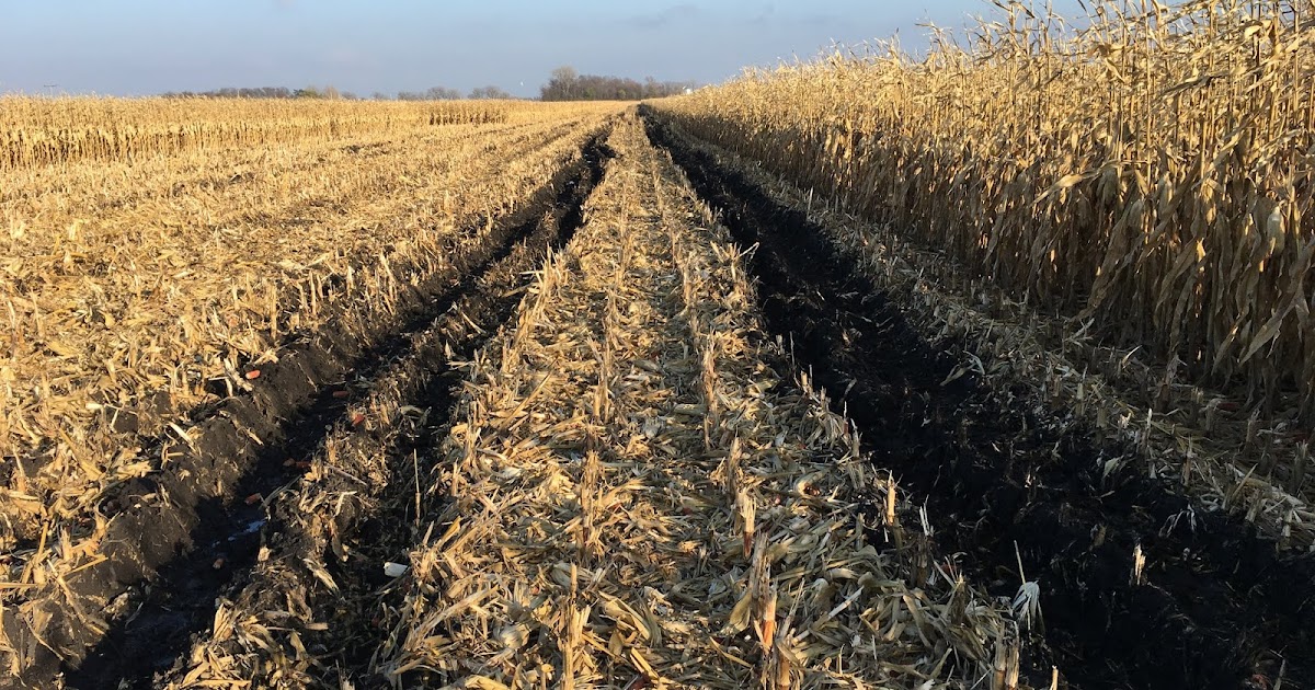 Soil compaction and ruts: What can you do?