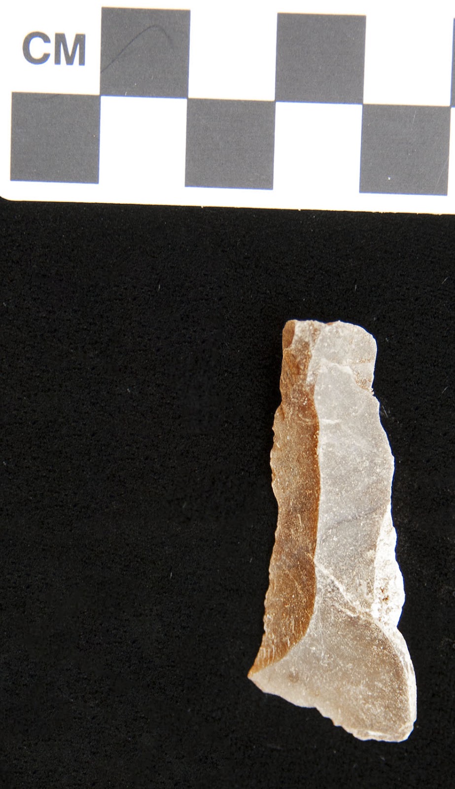 Clive Finlayson's Human Evolution Blog: Neanderthal technology