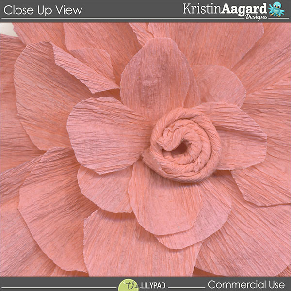 Digi Delights: Crepe Flowers & a Freebie