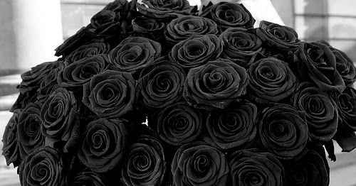 Mawar Hitam Wallpaper