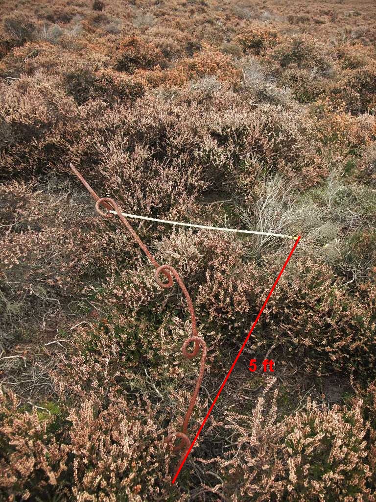 WW1 and WW2 Defences - Suffolk and beyond: More Trenches, Westleton Heath