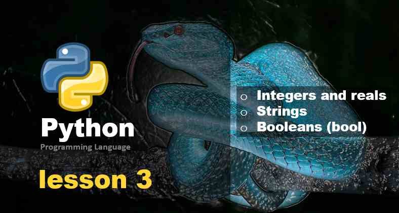 Reachit Easily Lesson 3 Pythons Predefined Functions Types String