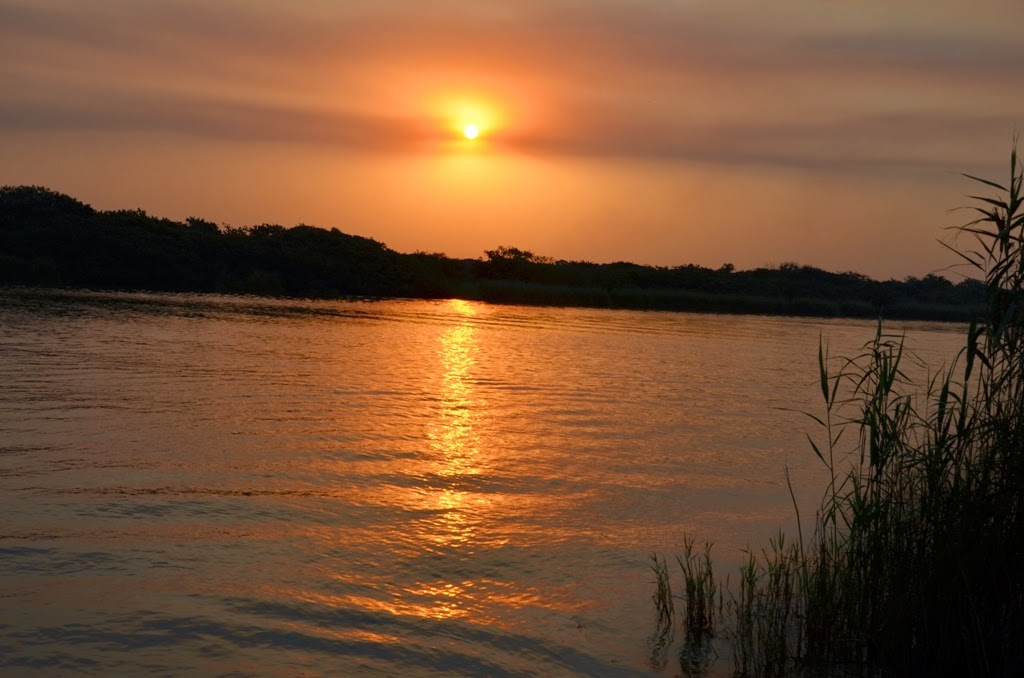 The Life's Way: Photo Walk - Sunset of Life