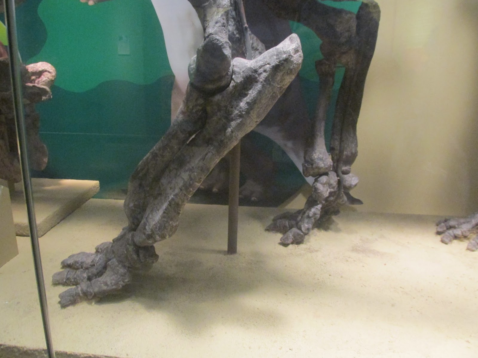 What happens when a non-accredited paleontology fan blogs: Species that ...