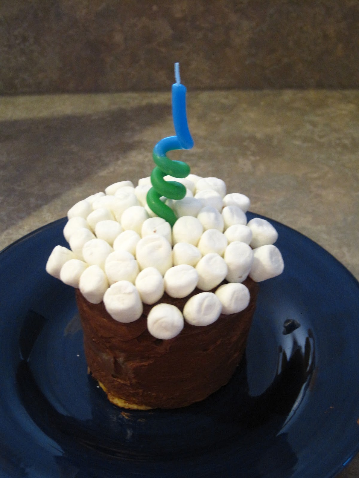 Losing It In The Kitchen: S'mores Cake