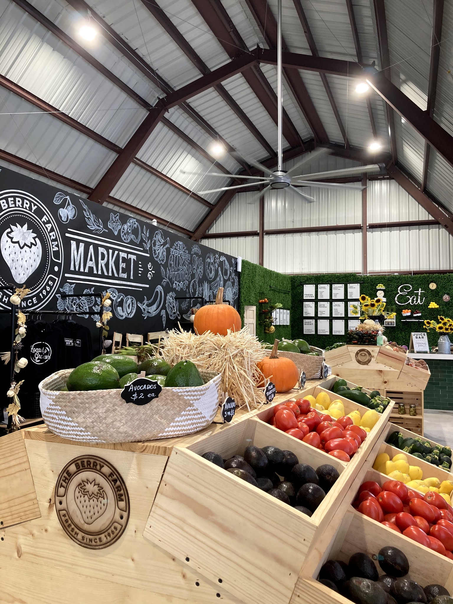 THE BERRY FARMS: BEST SUNFLOWER FIELDS AND PUMPKIN PATCH IN SOUTH ...