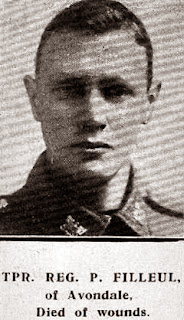 Timespanner: Avondale School's Marble Roll of Honour