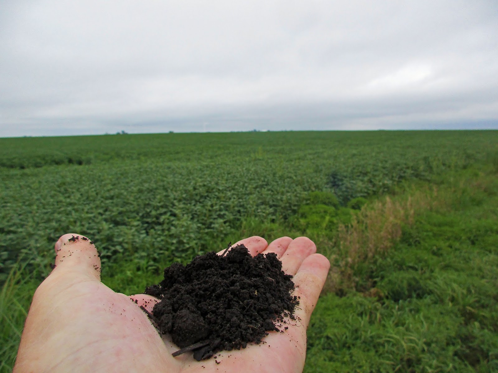 Heart and Sole: Deep in the Dirt -- Hiking Iowa's Black Dirt Kingdom