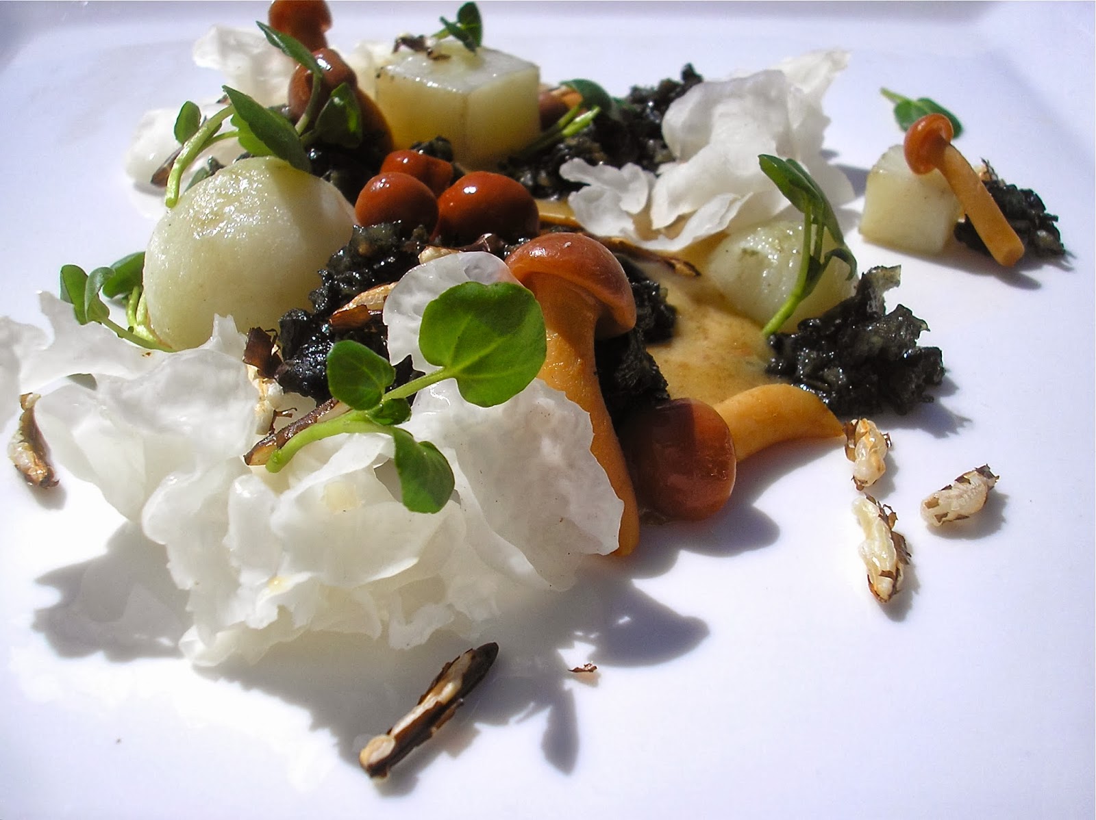 food play: ' marrow poached BLACK FOOT ABALONE