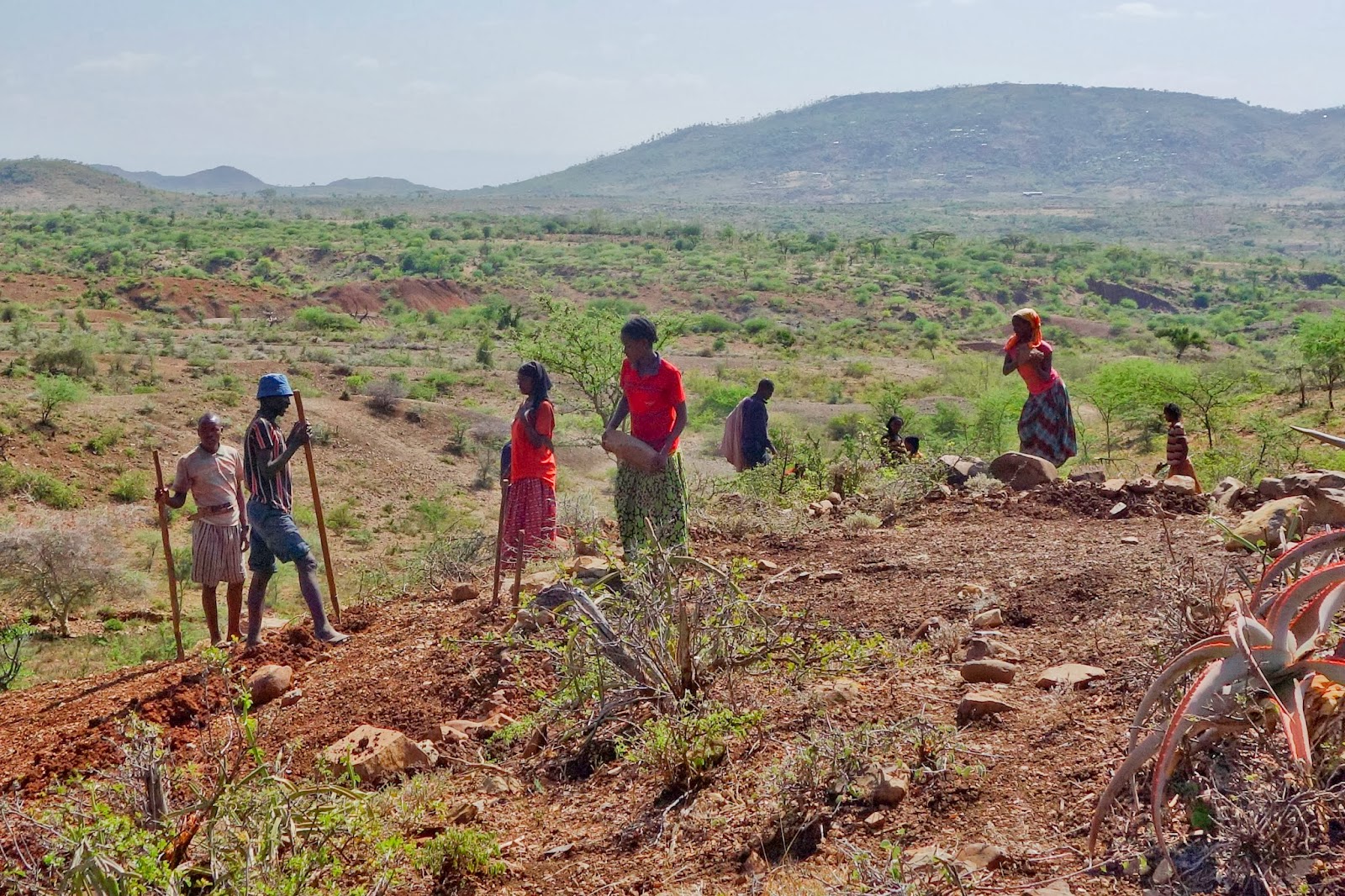 SETHiopia: A Focus on Watersheds – Part 2: Stone Bands, Micro ...