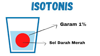 Transportasi Zat, Biologi kelas 11 semester 1