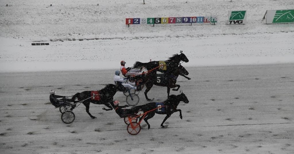 TwinSpires Blog: Winter Watch In Progress