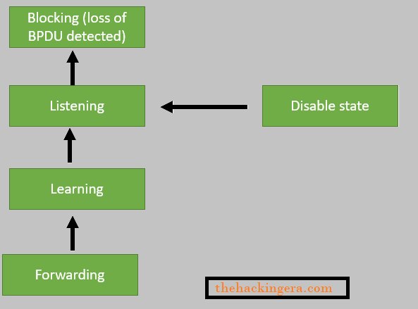 STP-Spanning Tree Protocol Explained