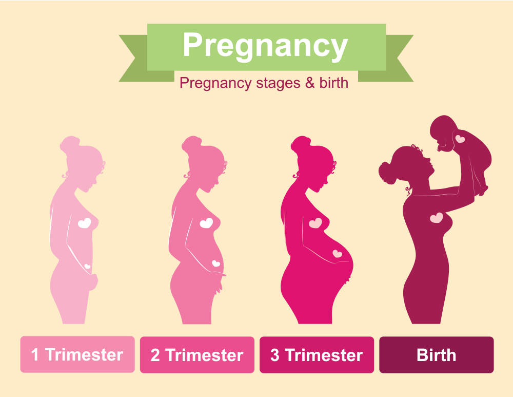 3rd Trimester – Weeks, Development, Physical & Psychological Changes