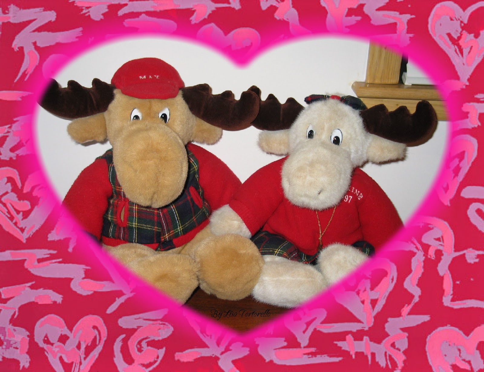 Moose Musings from THE MOOSE ROOM!