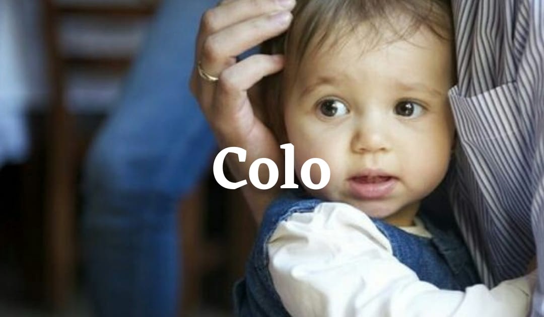 Colo colo