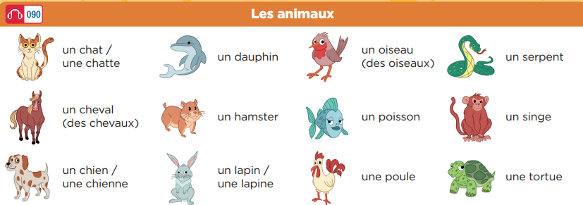 CoronoFLE: E' τάξη nouveau Copains Copines 1