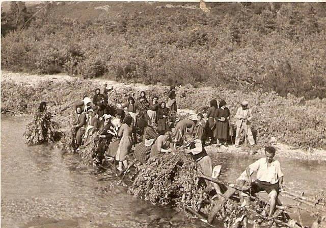 ΓΥΝΑΙΚΕΣ ΗΡΩΪΔΕΣ- ΑΦΙΕΡΩΜΑ ΣΕ ΑΥΤΕΣ ΠΟΥ ΚΡΑΤΗΣΑΝ ΟΡΘΙΑ ΤΗΝ ΕΛΛΑΔΑ ΤΑ ...