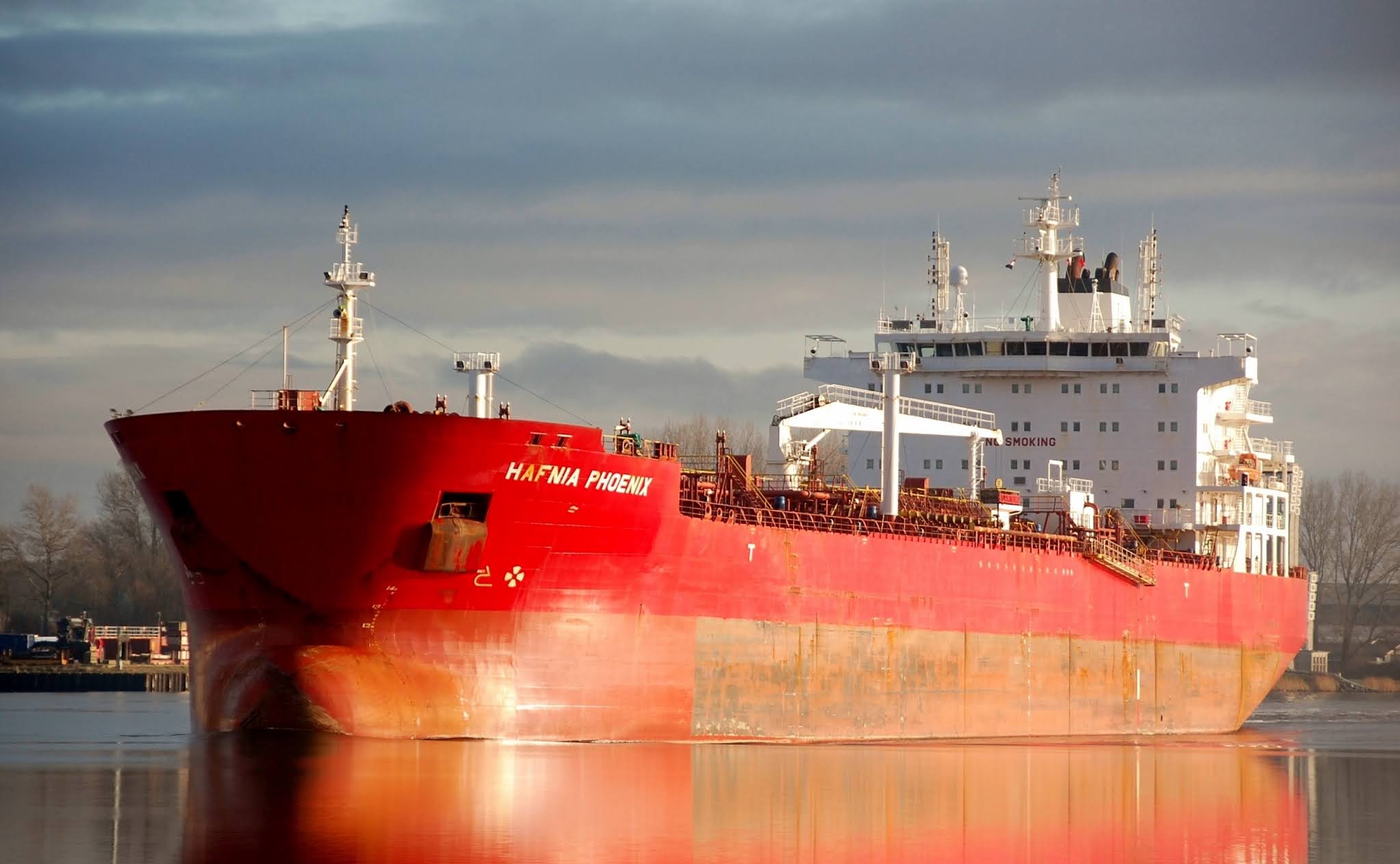 HAFNIA PHOENIX