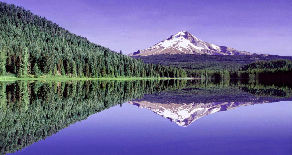 Educación Plástica y sobre todo visual: La Composición