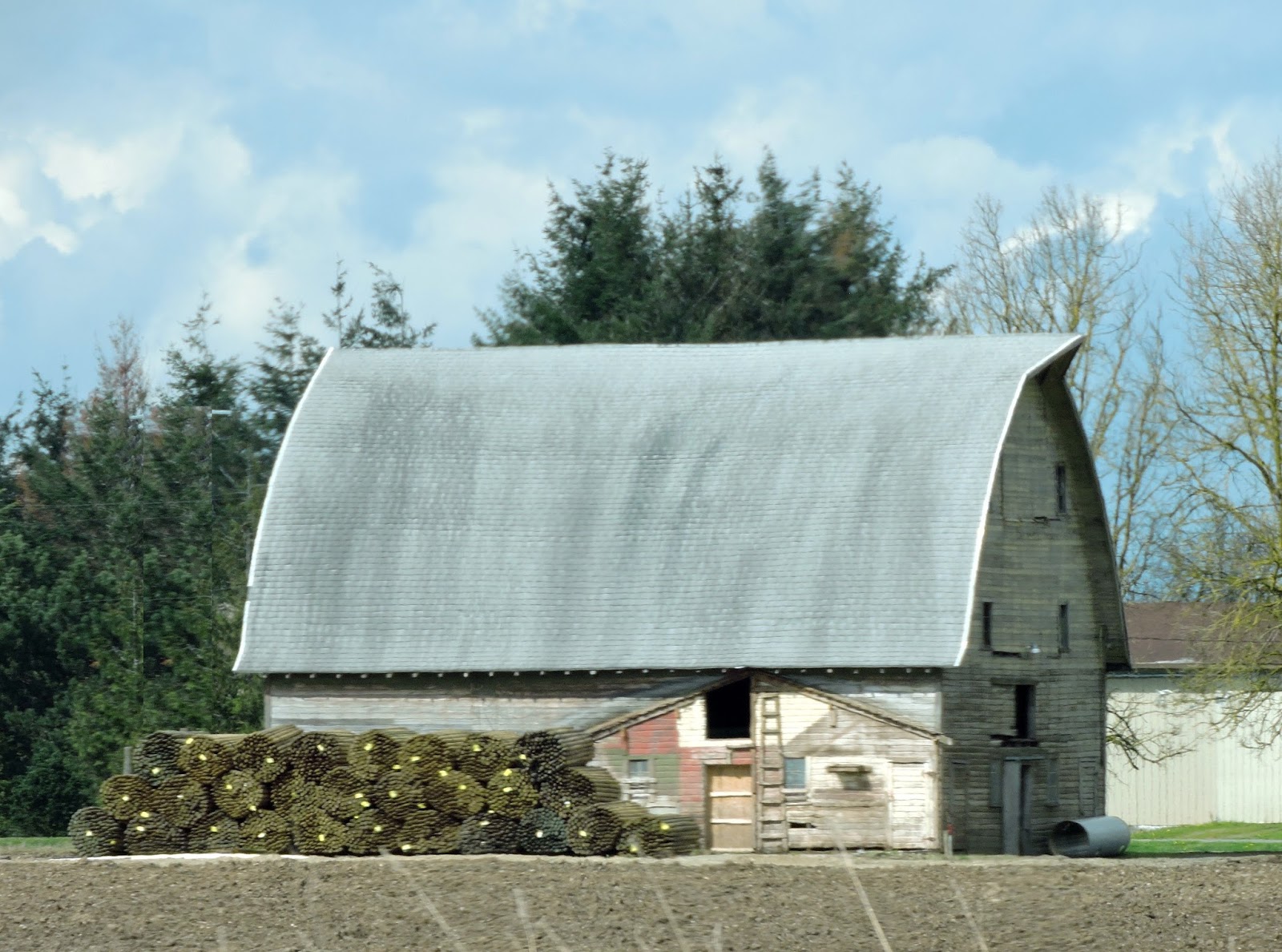 Scene Through My Eyes: Old Barns - Lynden, WA