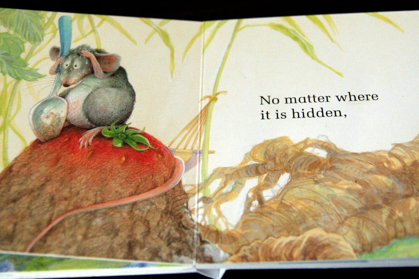 Memoir of a Missus: books we love: the little mouse, the red ripe ...