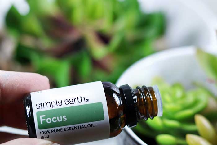 Succulent DIY Essential Oil Diffuser (Dollar Tree Craft) - Koti Beth